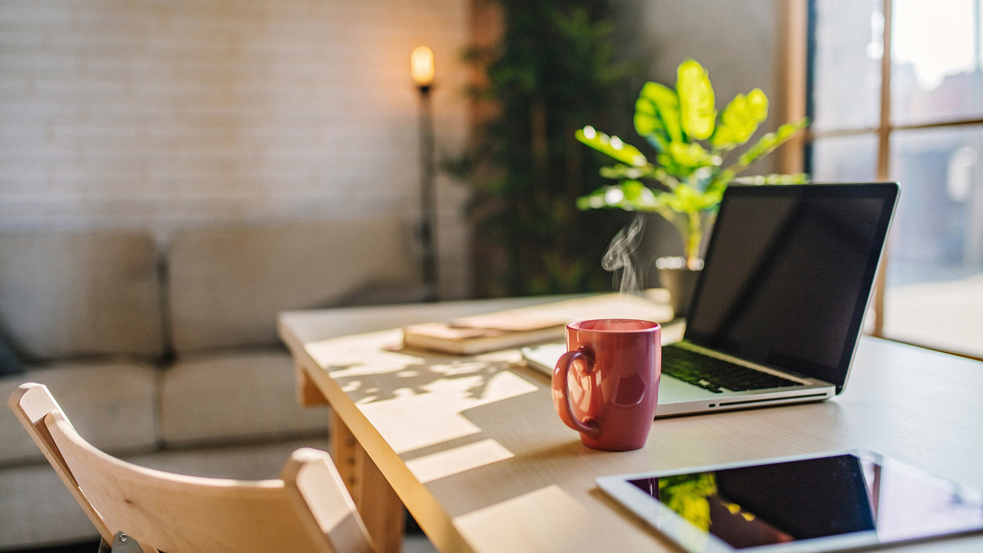 Career Paths 2025: Your Complete Guide to Future Opportunities